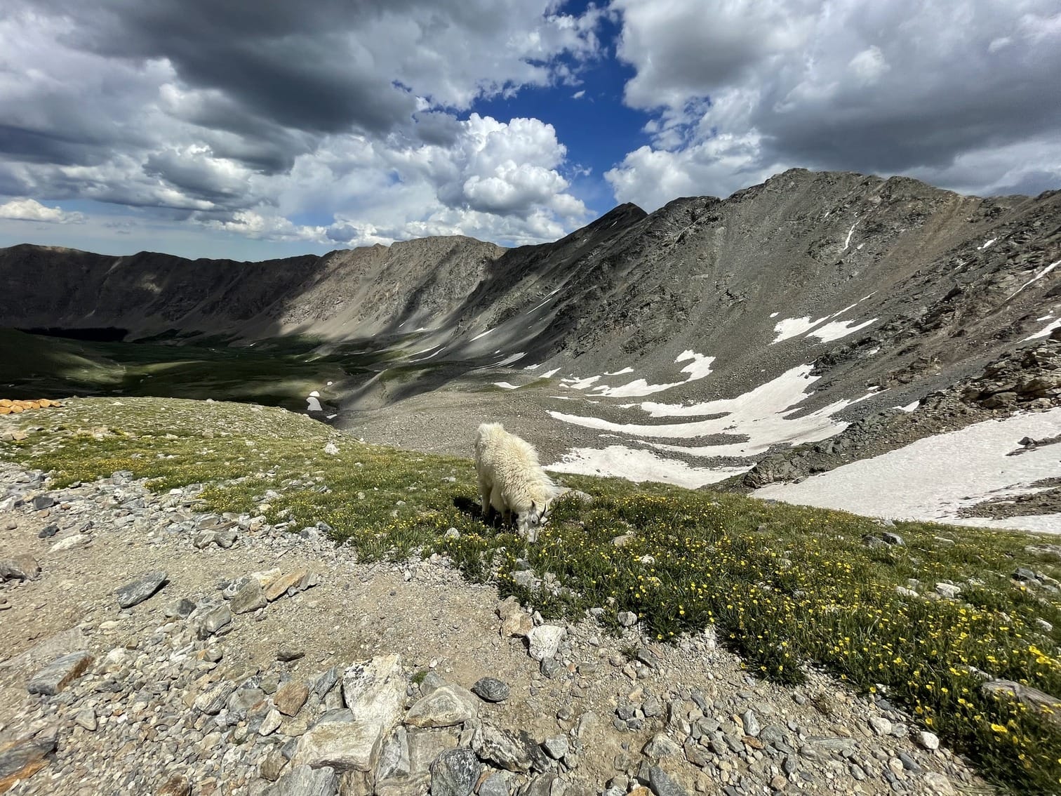Hiking the Continental Divide Trail (CDT)