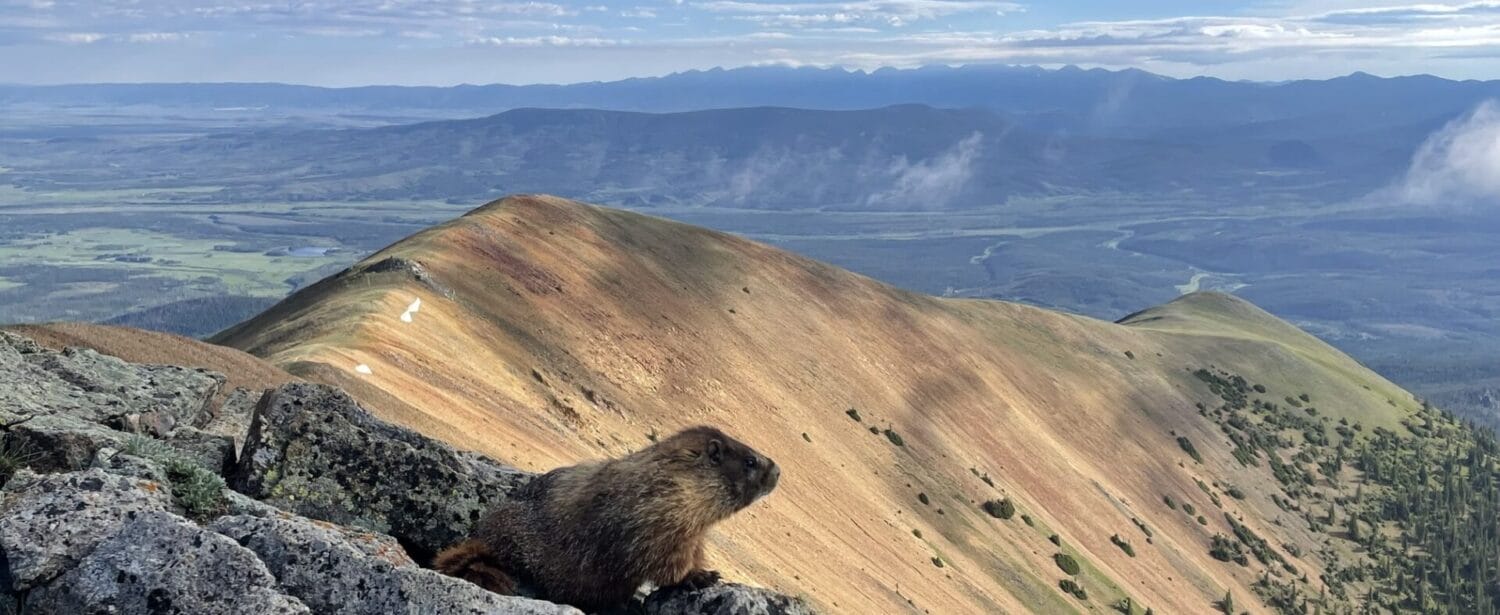 Hiking the Continental Divide Trail (CDT)