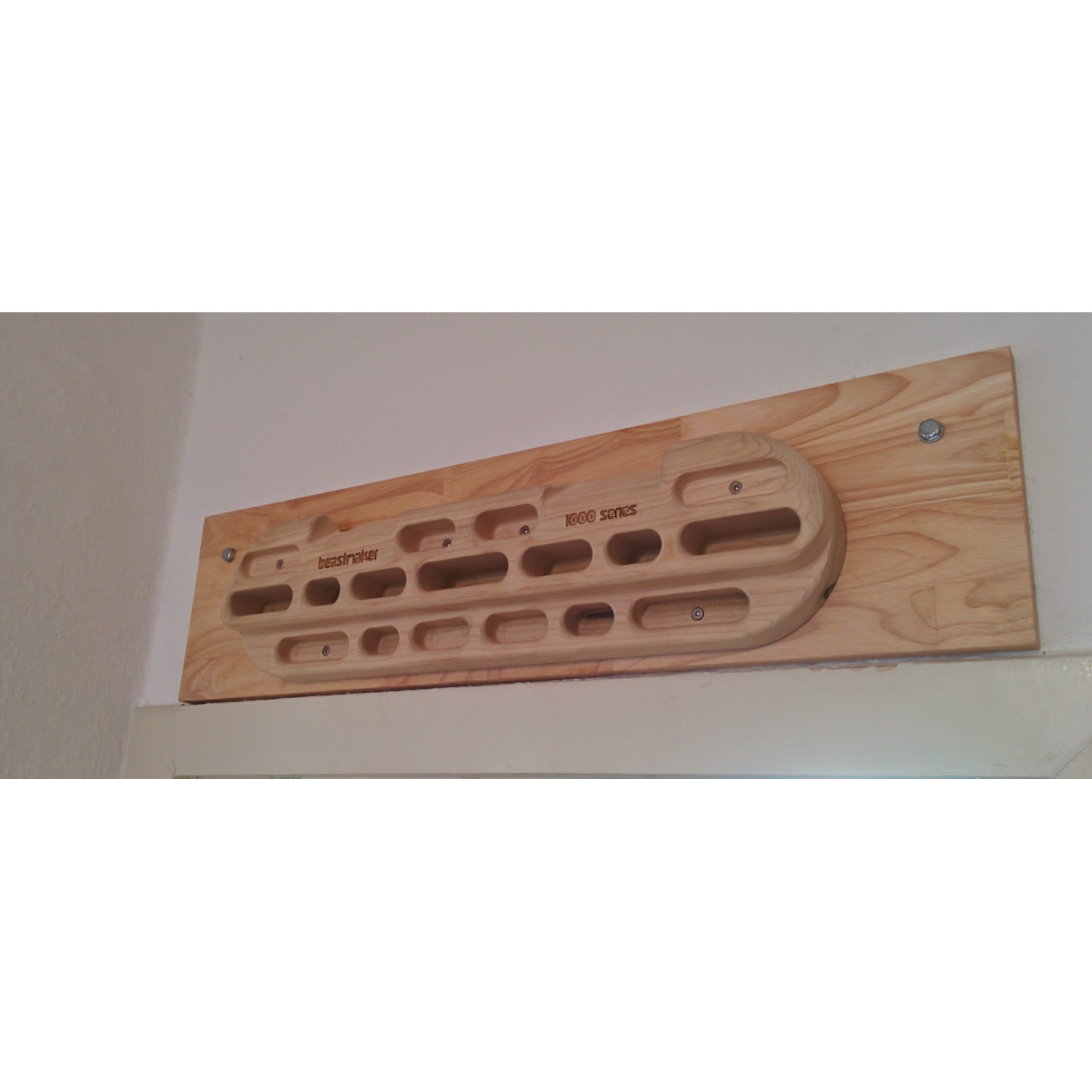 Beastmaker 1000 Series - Training Board | Free UK Delivery | Alpinetrek ...