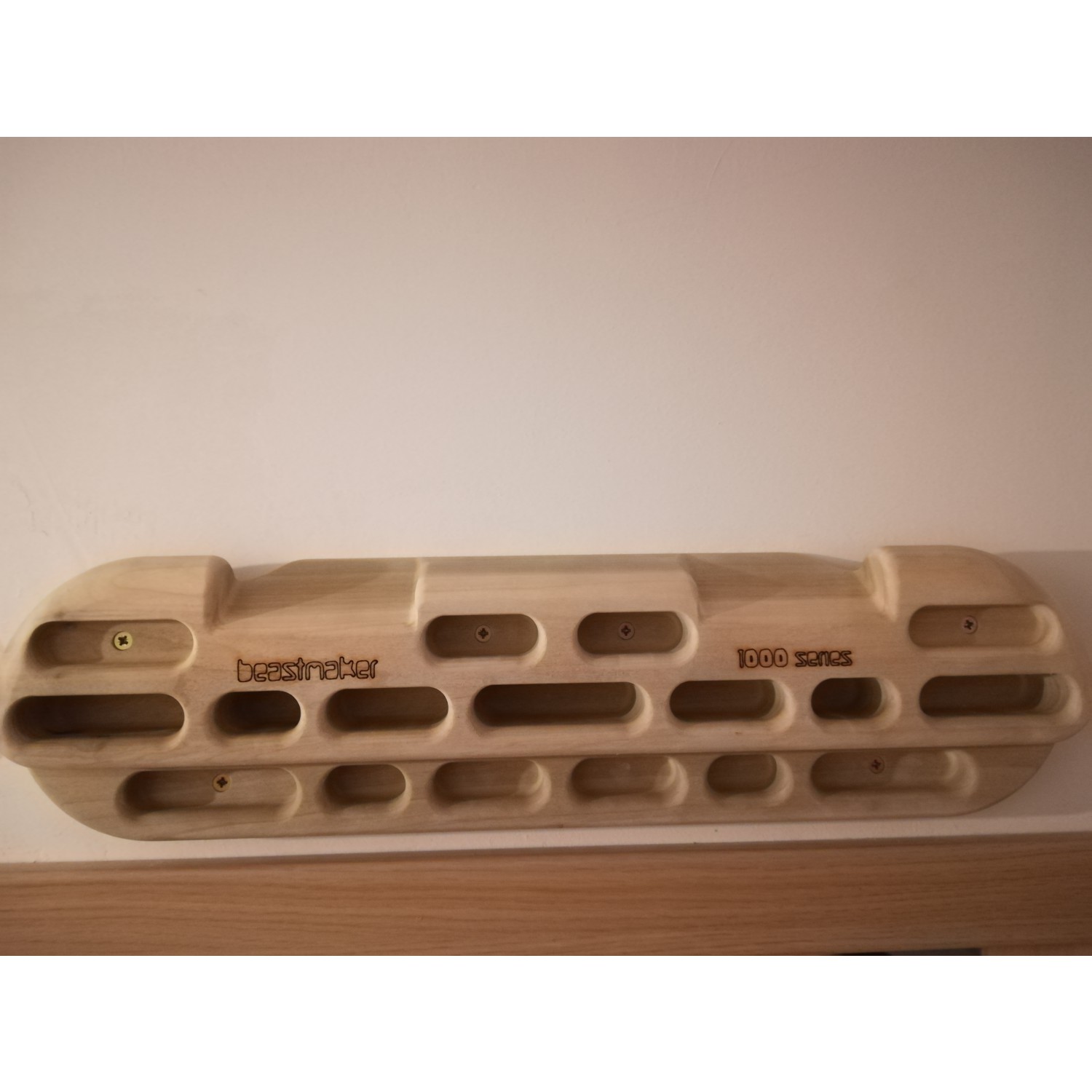 Beastmaker 1000 Series - Training Board | Free UK Delivery | Alpinetrek ...