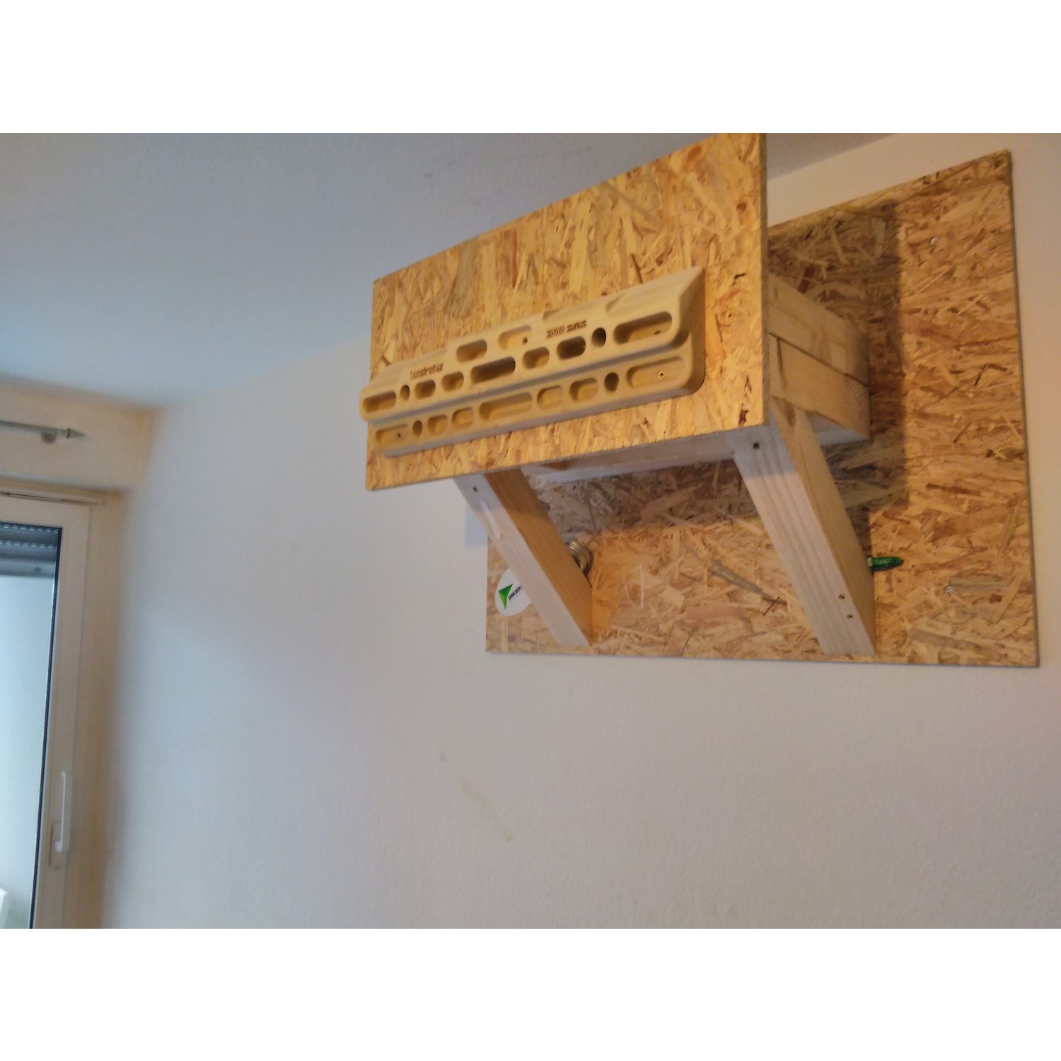 Beastmaker 2000 Series - Training Board | Free UK Delivery | Alpinetrek ...