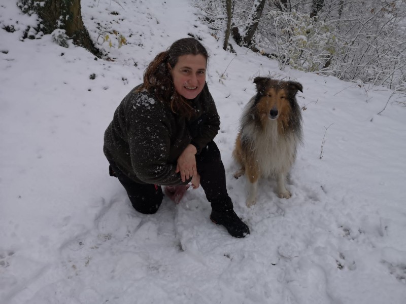 Viking Rask 2 Spikes Mid GTX BOA - Winter Boots Women's | Buy online ...